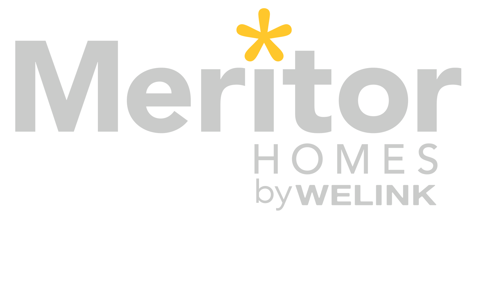 Meritor Homes by Welink